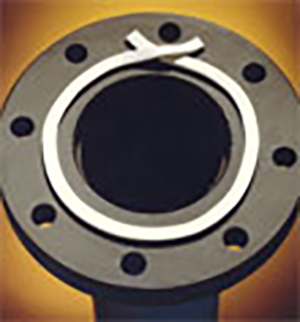 PTFE Joint Sealant | Fluoroseal - Flexseal Industrial